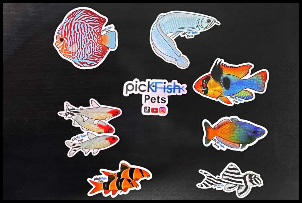 Shop - PickFish Pets