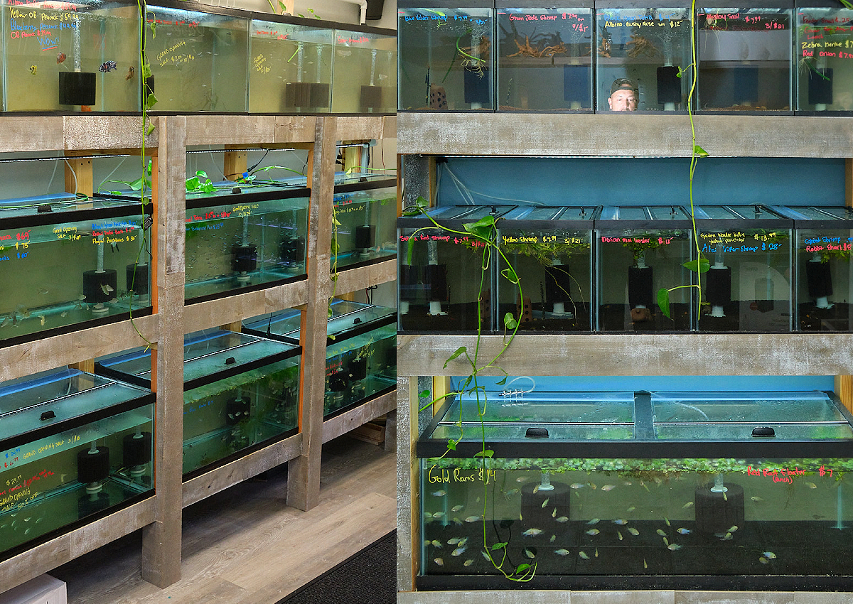 PicKFish Pets Home - PickFish Pets