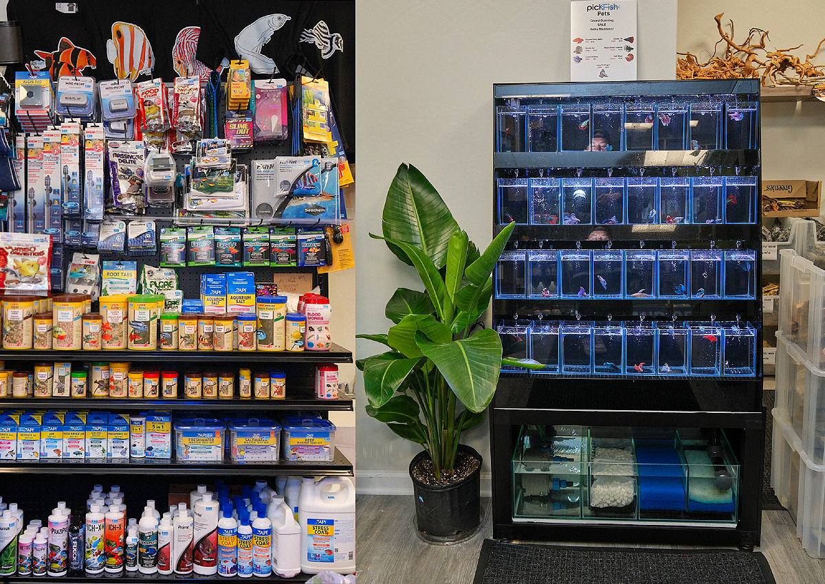 PicKFish Pets Home - PickFish Pets