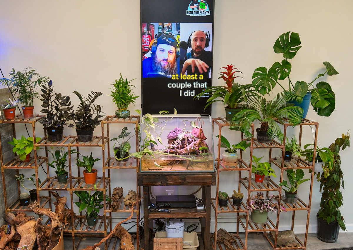 PicKFish Pets Home - PickFish Pets