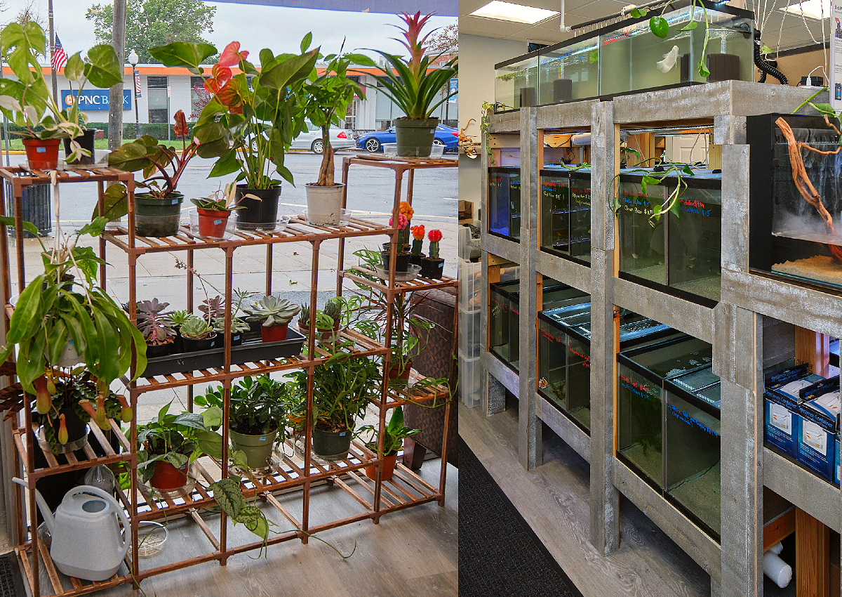 PicKFish Pets Home - PickFish Pets